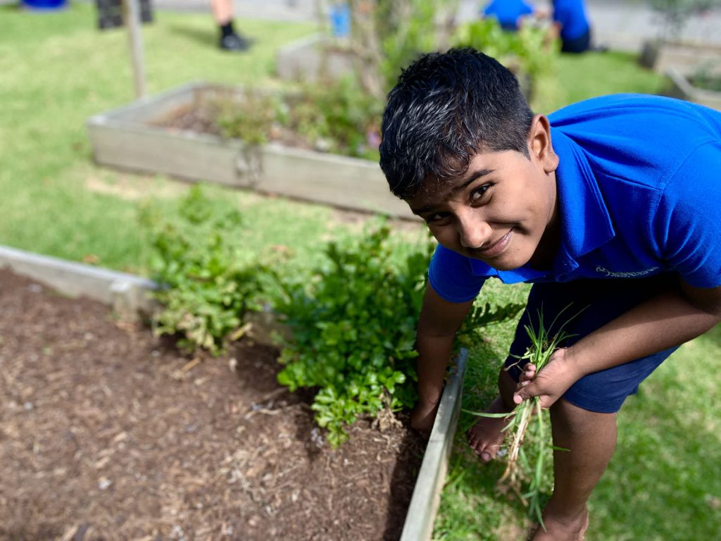 PB4L – Marlborough Primary